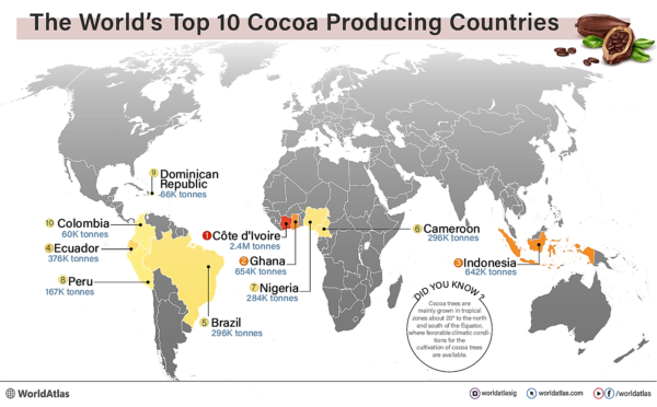 Top 10 Cocoa Bean-Producing Countries in the World - Taste, Origin, and ...